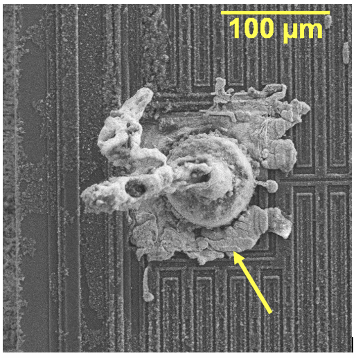 Examples of Device Failure Analysis - SEM Lab, Inc.