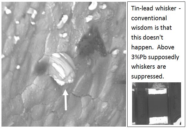 Tin-Lead Whisker - SEM Lab Inc.