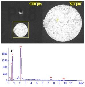 Teflon Contamination - SEM Lab Inc.
