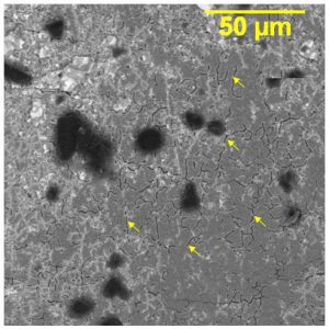 Black Pad Syndrome - SEM Lab Inc.