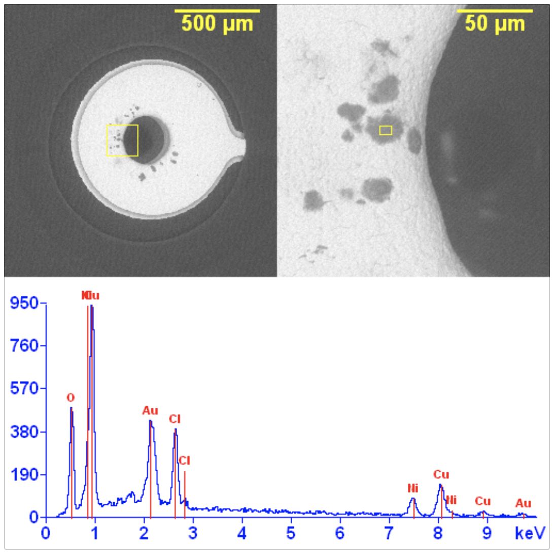 Corrosion Analysis - SEM Lab Inc.