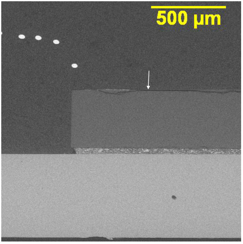 BGA Device Damage - SEM Lab Inc.
