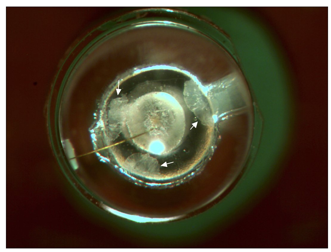 Failure Analysis of IR LED - SEM Lab Inc.