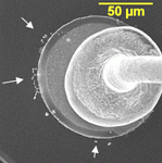 LED Failure Analysis - SEM Lab Inc. - Quality Failure Analysis Since 1997