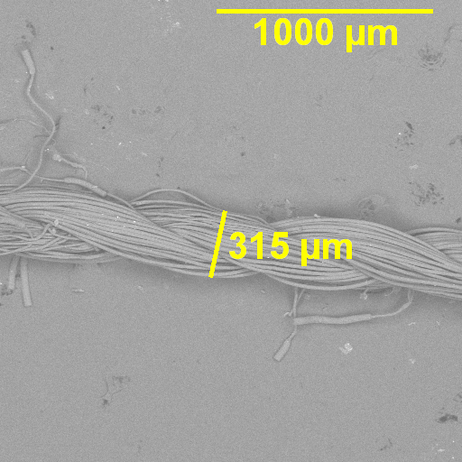 SEM Image of Polyester Thread - SEM Lab Inc.
