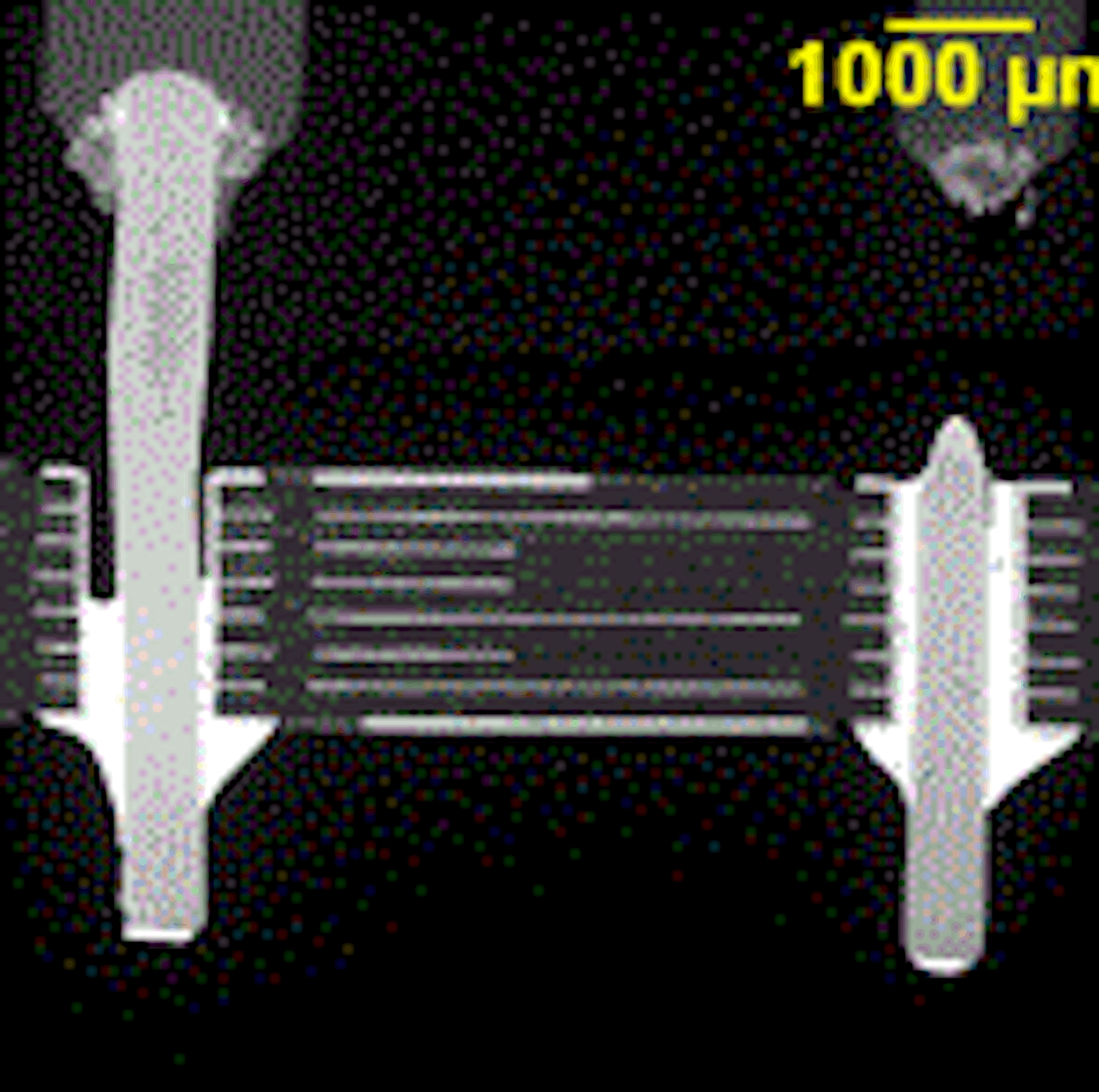 Failure Analysis of Medical Devices - SEM Lab Inc.