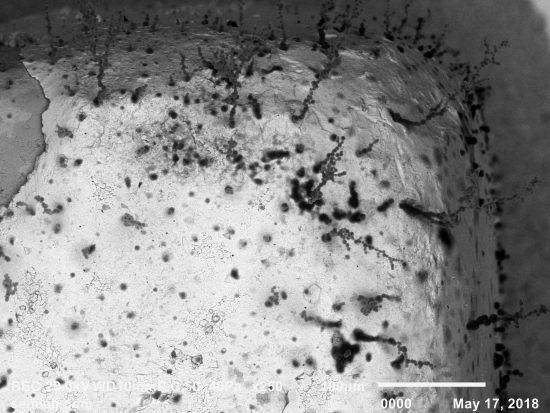 Contamination on MLCC Termination - SEM Lab Inc.