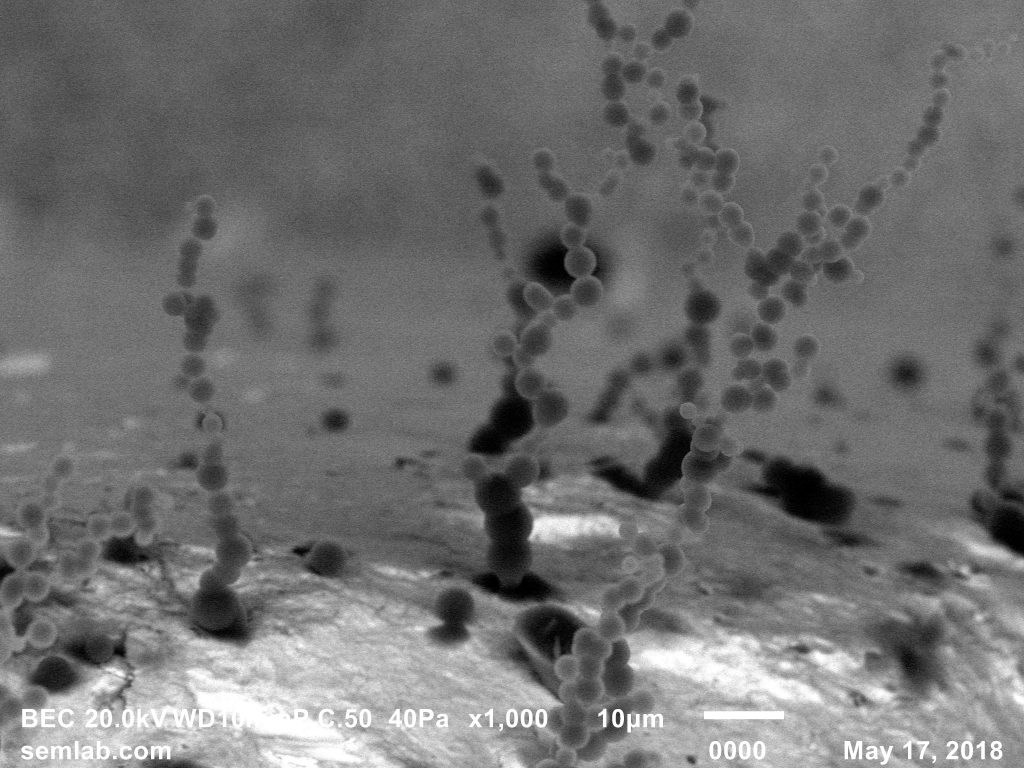 Contamination on MLCC Termination - SEM Lab Inc.